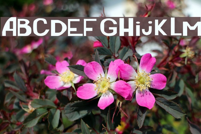 Earthworm Jim Font - FFonts.net