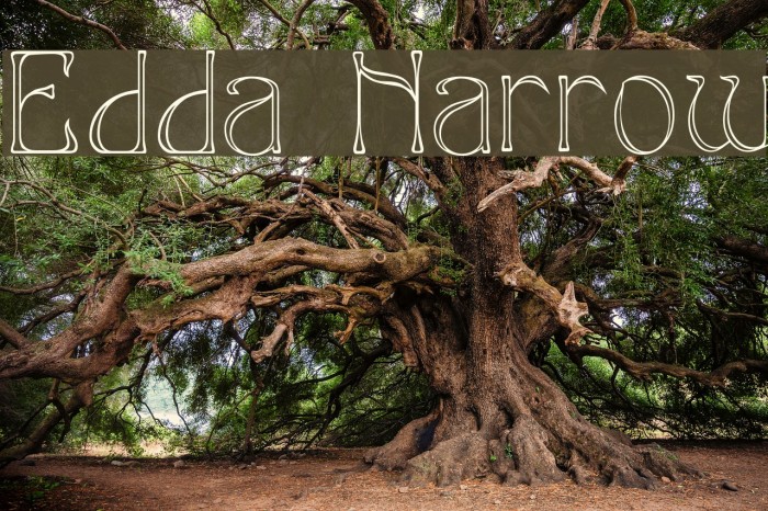 Edda Narrow Font - FFonts.net