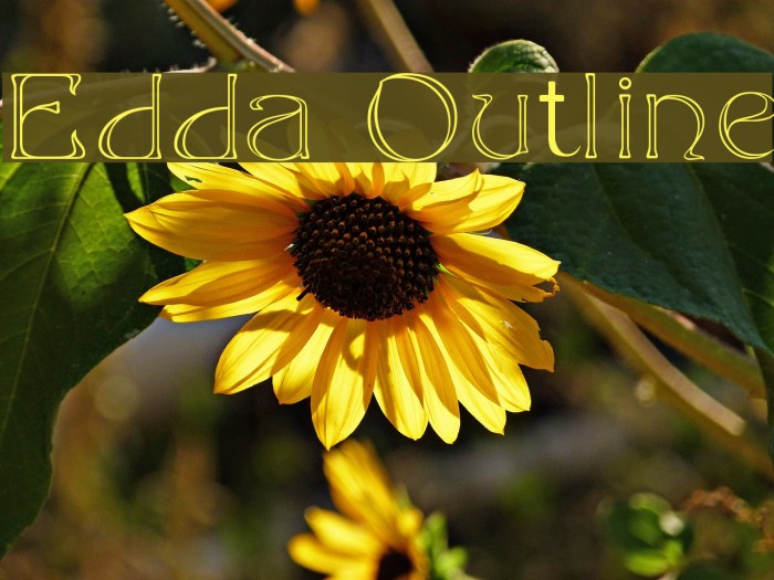 Edda Outline Font - FFonts.net