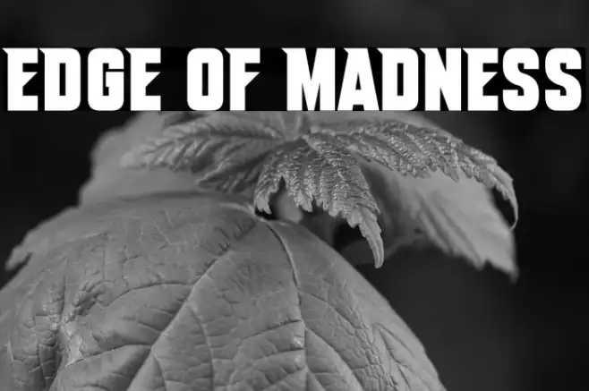 Edge Of Madness Font | Free Download (TTF/OTF) | FFonts.net