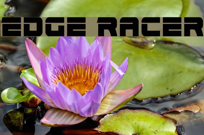 Edge Racer Font - FFonts.net