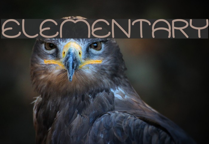 ELEMENTARY Font - FFonts.net
