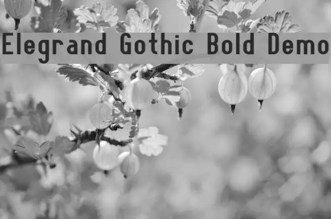 Elegrand Gothic Bold Demo Font | Free Download (TTF/OTF) | FFonts.net