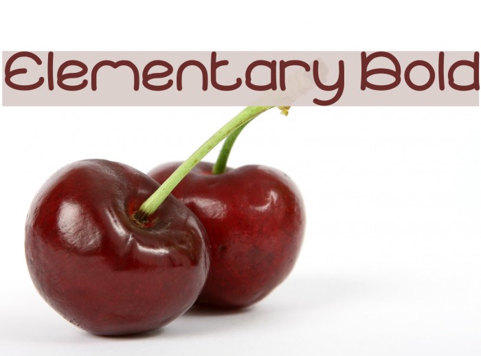 Elementary Bold Font - FFonts.net