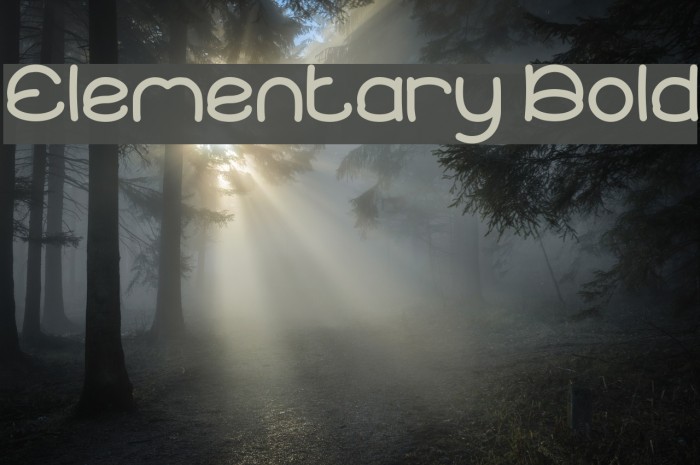 Elementary Bold Font - FFonts.net
