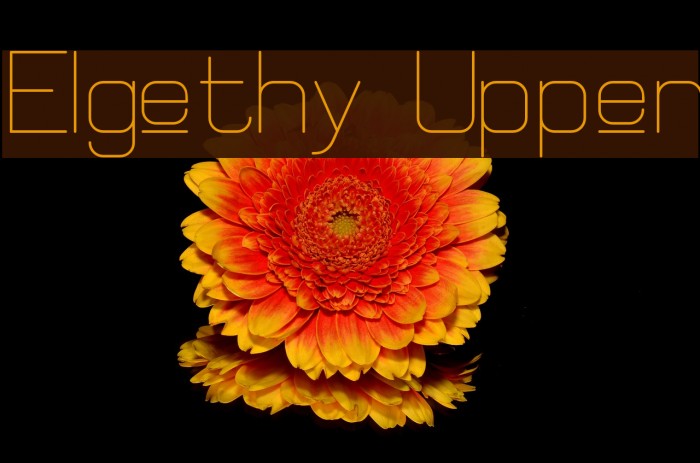 Elgethy Upper Font - FFonts.net