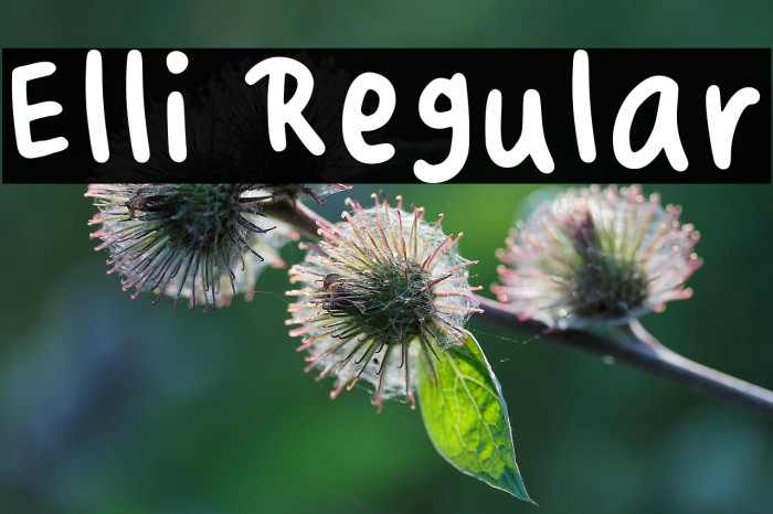 Elli Regular Font - FFonts.net
