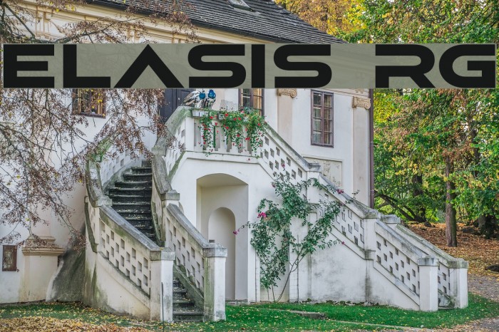 elasis rg Font - FFonts.net