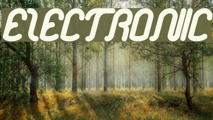 electronic Font - FFonts.net