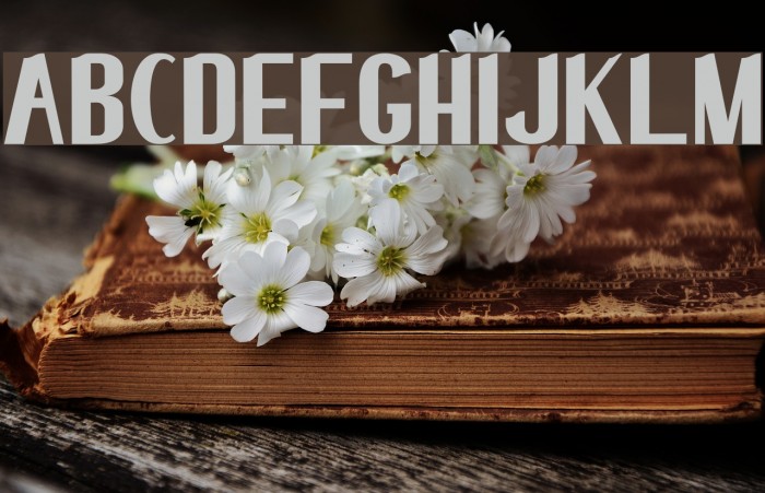 elma 03 Font - FFonts.net