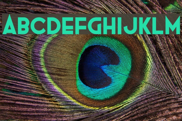 Emerald Grey Font - FFonts.net