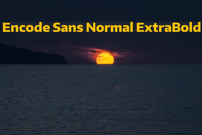 Encode Sans Normal ExtraBold Font - FFonts.net