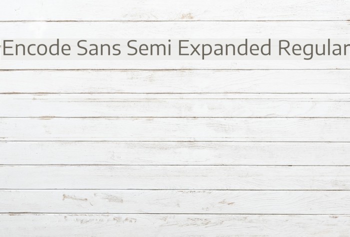 Encode Sans Semi Expanded Regular Font - FFonts.net