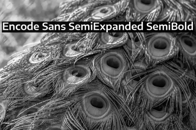 Encode Sans SemiExpanded SemiBold Font | Free Download (TTF/