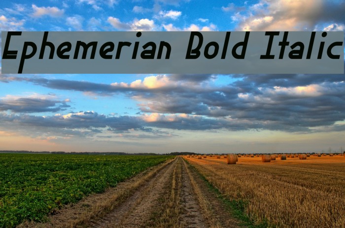 Ephemerian Bold Italic Font - FFonts.net