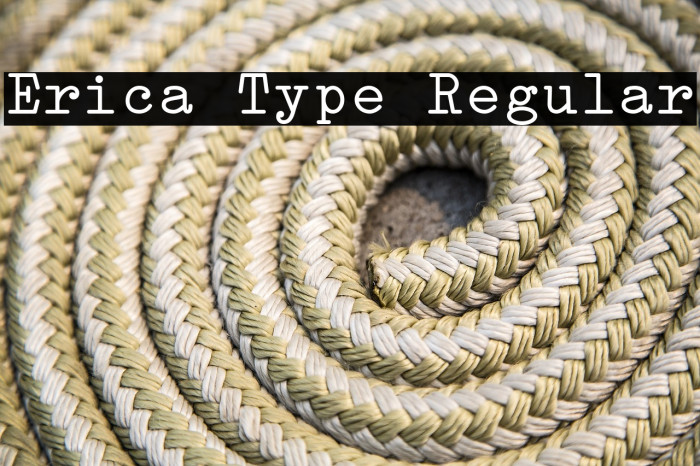 Erica Type Regular Font - FFonts.net