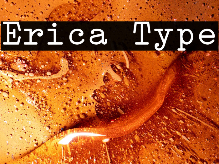 Erica Type Font - FFonts.net