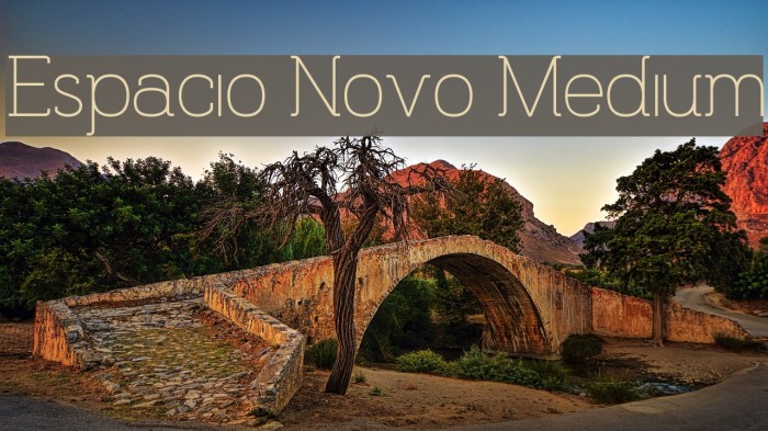 Espacio Novo Medium Font - FFonts.net
