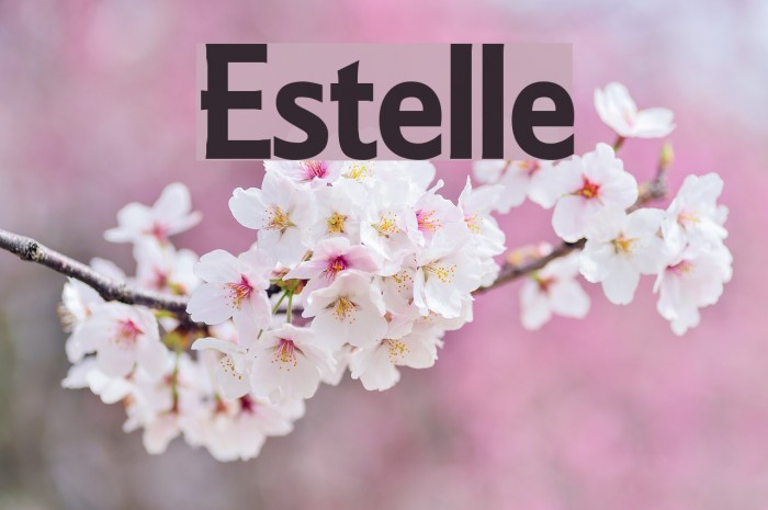 Estelle Font - FFonts.net