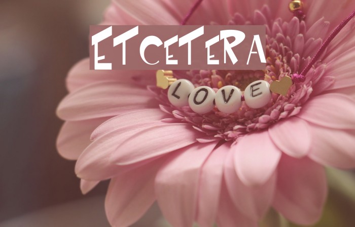 Etcetera Font - FFonts.net