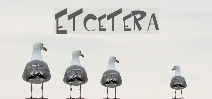 Etcetera Font - FFonts.net