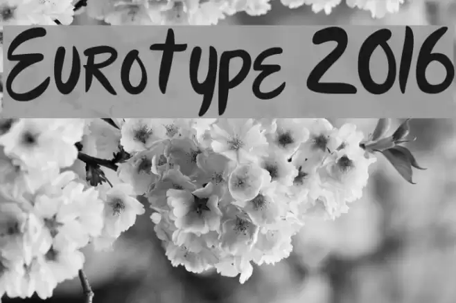 Eurotype 2016 Font | Free Download (TTF/OTF) | FFonts.net