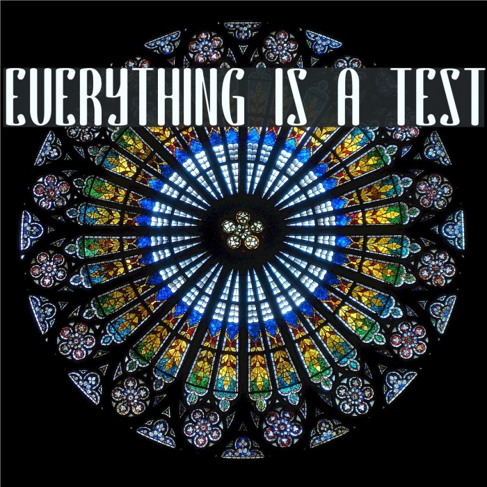 EVERYTHING IS A TEST Font - FFonts.net