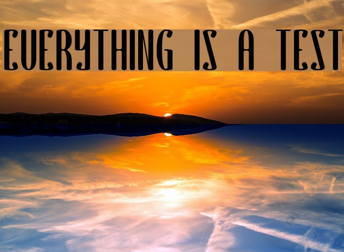 EVERYTHING IS A TEST Font - FFonts.net