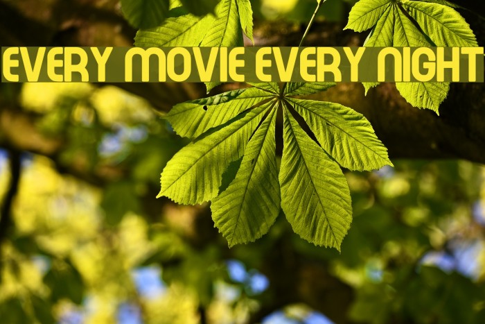Every Movie Every Night Font - FFonts.net