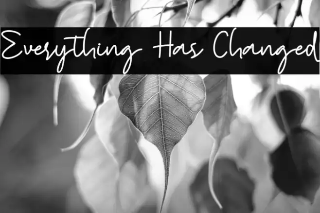 Everything Has Changed Font | Free Download (TTF/OTF) | FFon