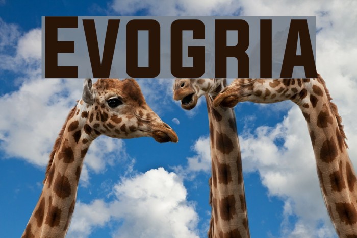 Evogria Font - FFonts.net