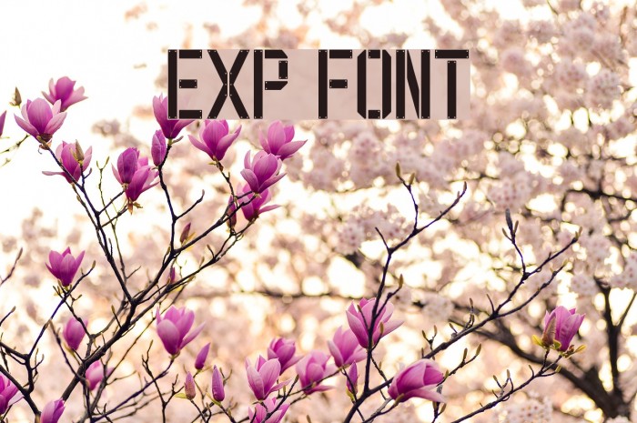 EXP FONT Font - FFonts.net