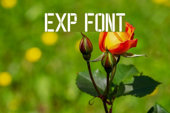 EXP FONT Font - FFonts.net