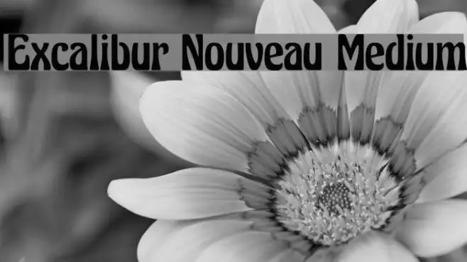 Excalibur Nouveau Medium Font | Free Download (TTF/OTF) | FFonts.net