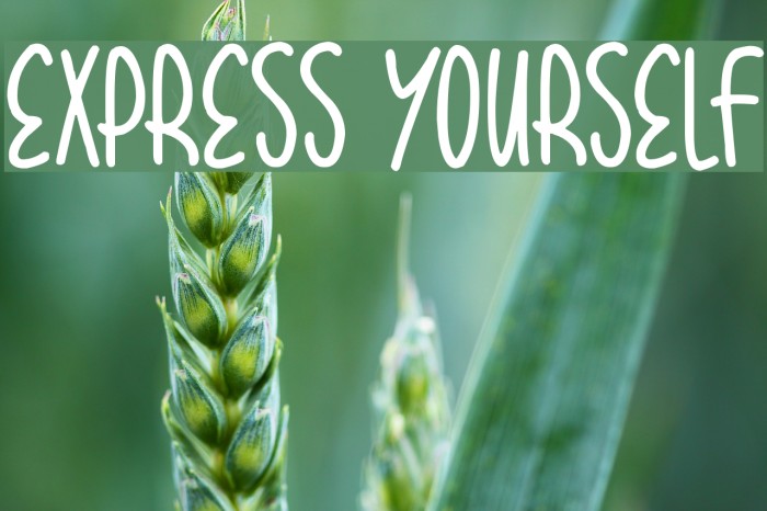 Express Yourself Font - FFonts.net