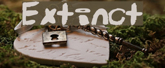 Extinct Font - FFonts.net
