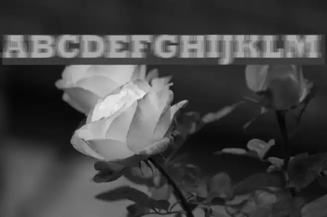 ExtraBlur Fuente - FFonts.net