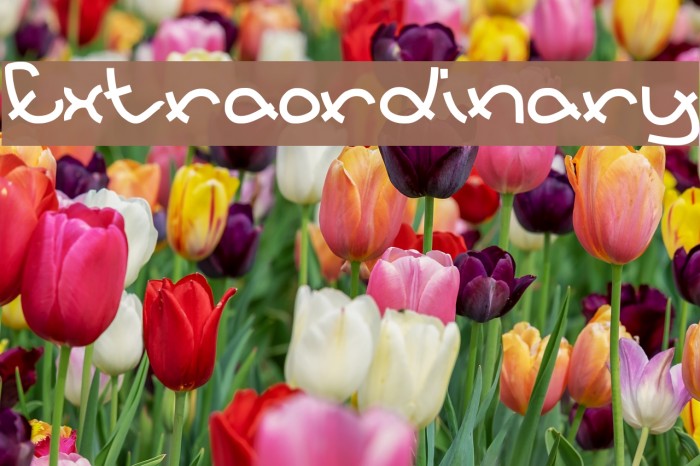 Extraordinary Font - FFonts.net