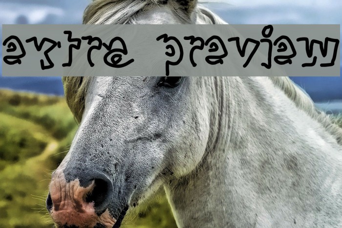 extra preview Font - FFonts.net