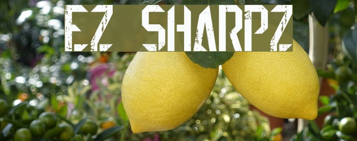 EZ Sharpz Font - FFonts.net