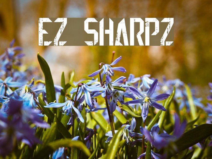 EZ Sharpz Font - FFonts.net