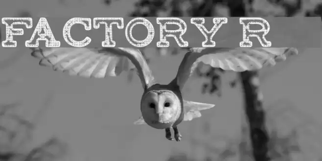 FACTORY-Regular Font - Free Download (TTF/OTF) | FFonts.net