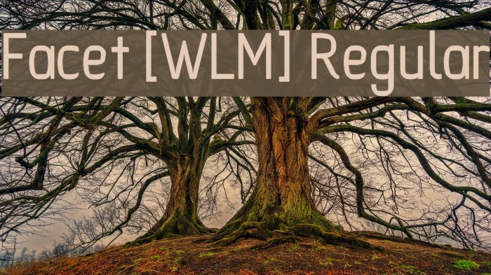 Facet [WLM] Regular Font - FFonts.net