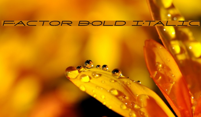 Factor Bold Italic Font - FFonts.net