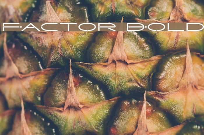 Factor Bold Font - FFonts.net