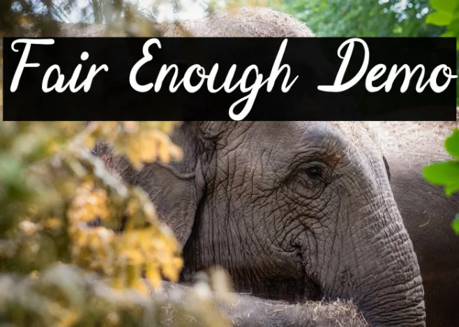 Fair Enough Demo Font | Free Download (TTF/OTF) | FFonts.net