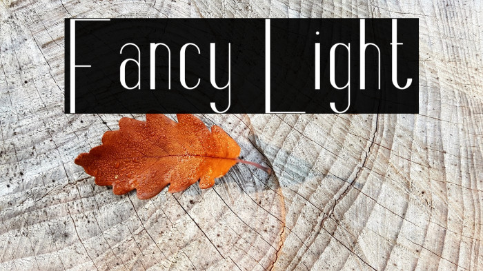 Fancy Light Font - FFonts.net