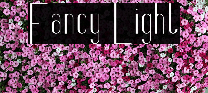Fancy Light Font - FFonts.net