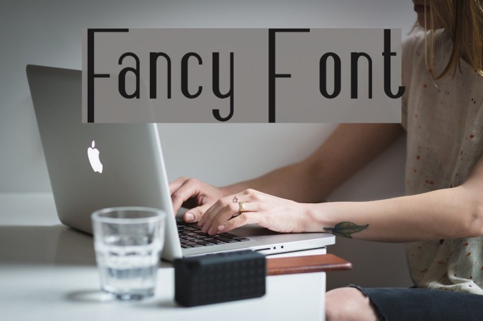Fancy Font - FFonts.net