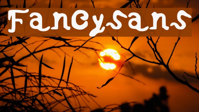 Fancy_sans Font - FFonts.net